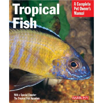 【】Tropical Fish