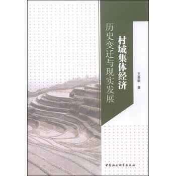 村域集体经济：历史变迁与现实发展