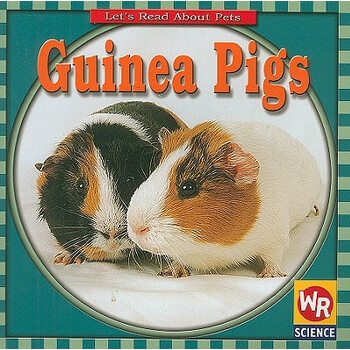 【】Guinea Pigs