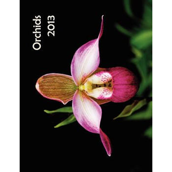 【】Orchids 2013