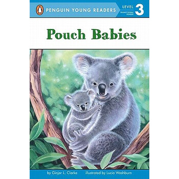 【】Pouch Babies