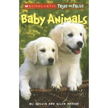 【】Baby Animals