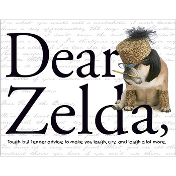 【】Dear Zelda