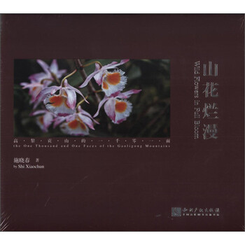 山花烂漫