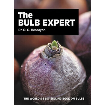 【】The Bulb Expert