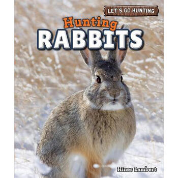 【】Hunting Rabbits