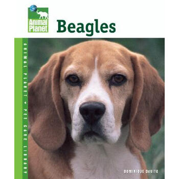 【】Beagles