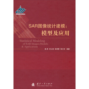 SAR图像统计建模：模型及应用