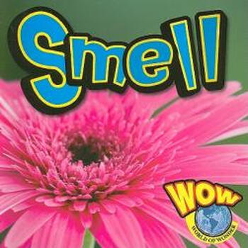 【】Smell
