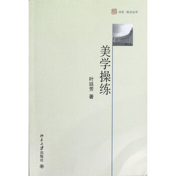 美学操练/未名观点丛书