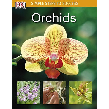 【】Orchids