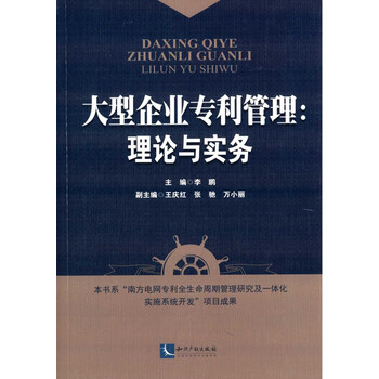 大型企业专利管理：理论与实务