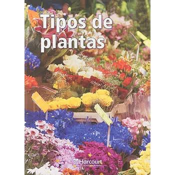 【】Tipos de Plantas