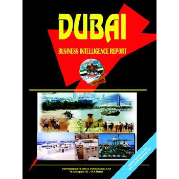 【】Dubai Business Intelligenc