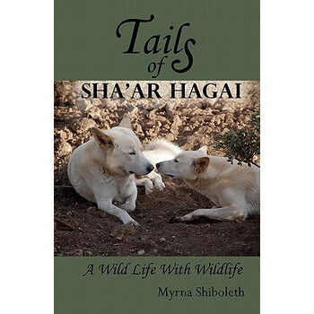 【】Tails of Sha'ar Hagai