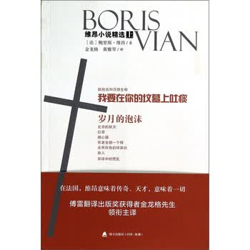 维昂小说精选（上）