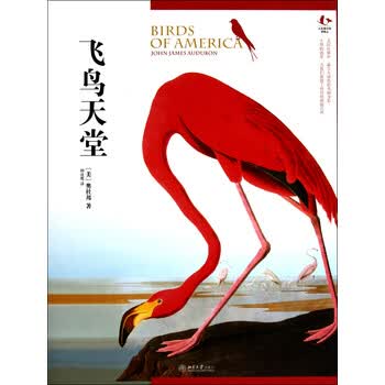 飞鸟天堂(精)