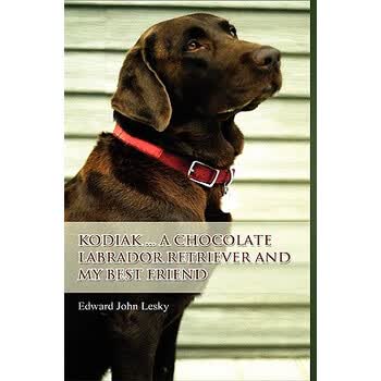 【】Kodiak ... a Chocolate Labrado