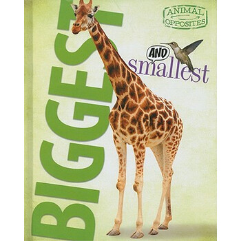 【】Biggest and Smallest