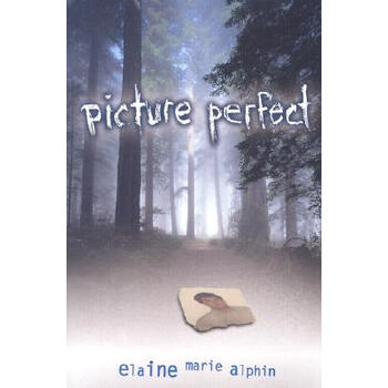 【】Picture Perfect