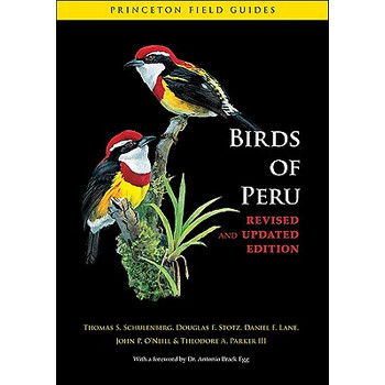 【】Birds of Peru