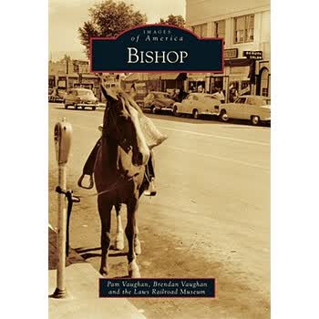 【】Bishop