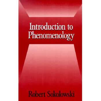 Introduction to Phenomenology