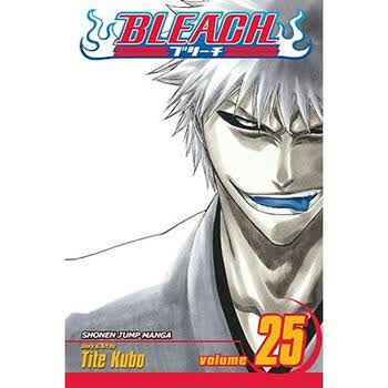 Bleach, Vol. 25, 25