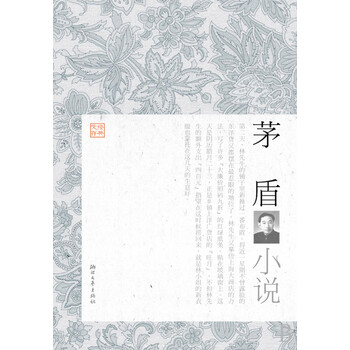 茅盾小说/经典文存