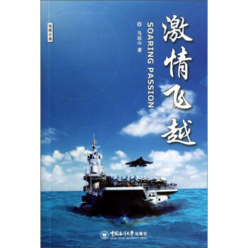 电视小说：激情飞越