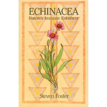Echinacea: Nature's Immune Enhancer