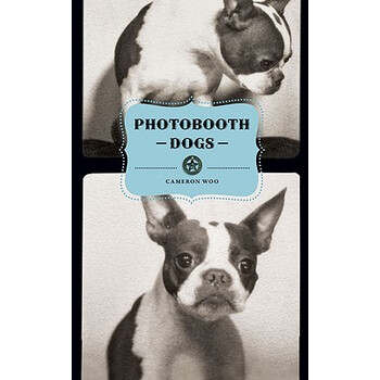 【】Photobooth Dogs