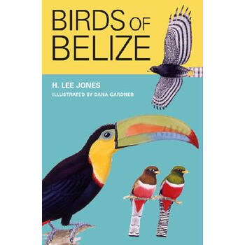 【】Birds of Belize