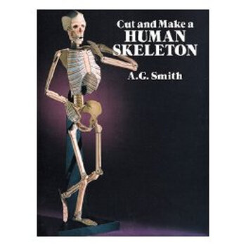 【】Cut and Make a Human Skeleton