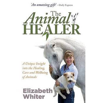 【】The Animal Healer