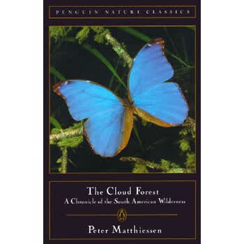 【】Cloud Forest
