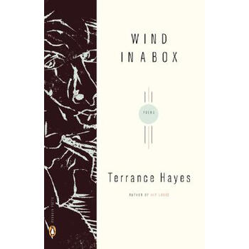 【】Wind in a Box