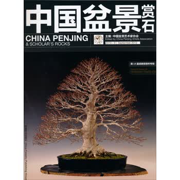 中国盆景：赏石（2013-9）