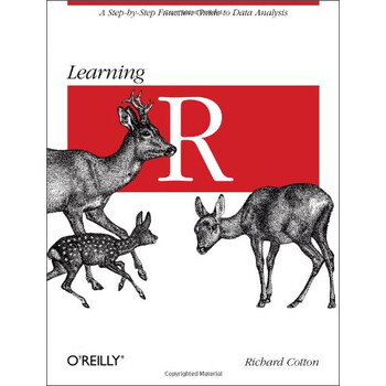 Learning R 英文原版