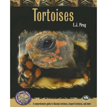 【】Tortoises