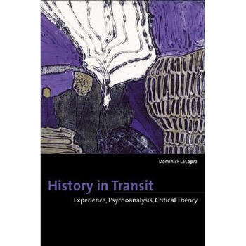 History in Transit: Experience, Identity, Cr...