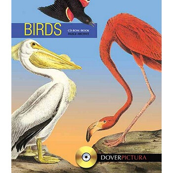 【】Birds