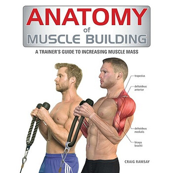 【】Anatomy of Muscle Building: A Trainer's