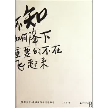 异想天开--蔡国强与农民达芬奇