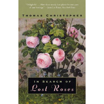 【】In Search of Lost Roses