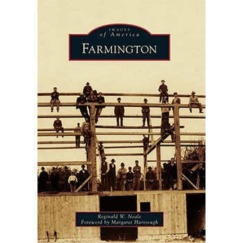 【】Farmington