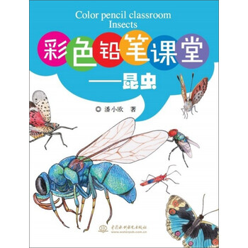 彩色铅笔课堂：昆虫