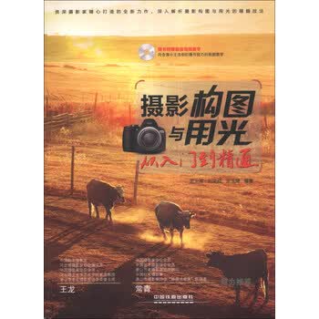【特价尾货】WB摄影构图与用光从入门到精通9787113168438