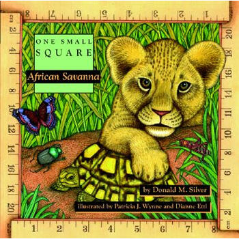 【】African Savanna