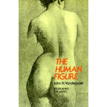 【】The Human Figure